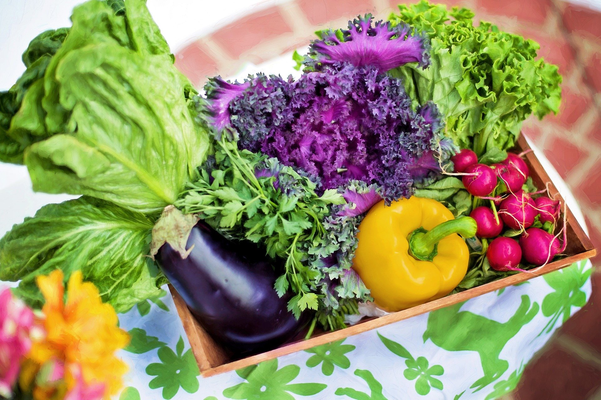 Why Are Plant Foods So Important The Know Food Diet Why Are Plant Foods So Important The Know Food Diet